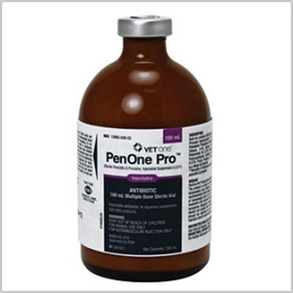 Antibiotic-Penicillin And B12 Injection Bowie - Give Your New Horse The ...
